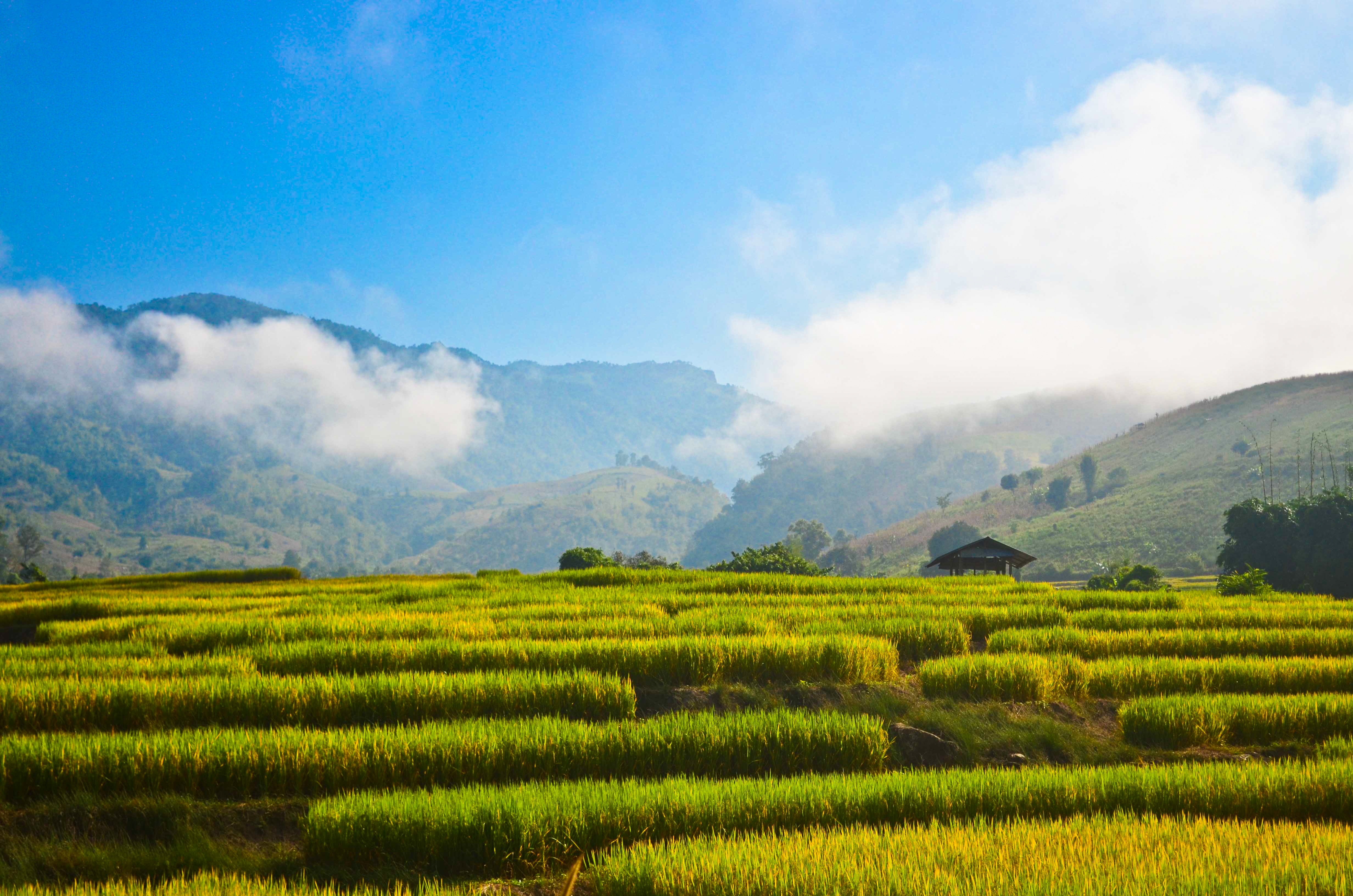 อำเภอแม่แจ่ม (Mae Chaem District) เชียงใหม่
