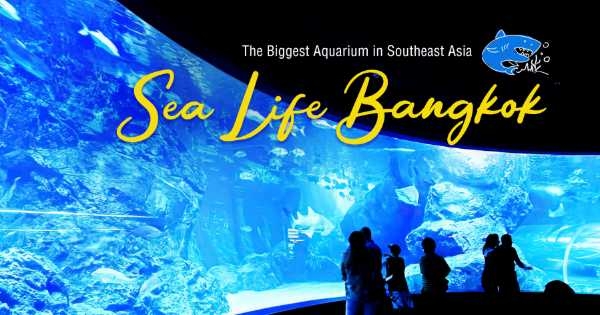 Siam Ocean World: The Biggest Aquarium in Southeast Asia